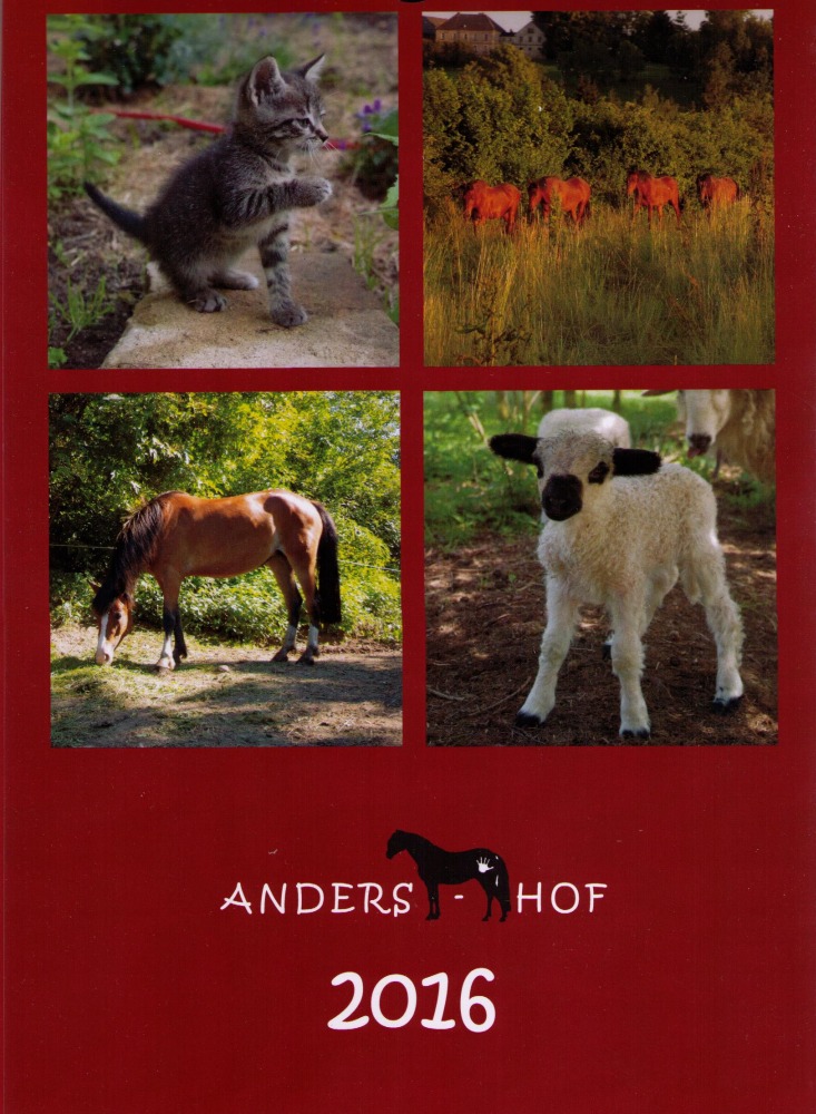 Anders Hof Ferienwohnung Sächsische Schweiz Heilpädagogischer Reiterhof ... Anders Hof Ferienwohnung Sächsische Schweiz Heilpädagogischer Reiterhof ...